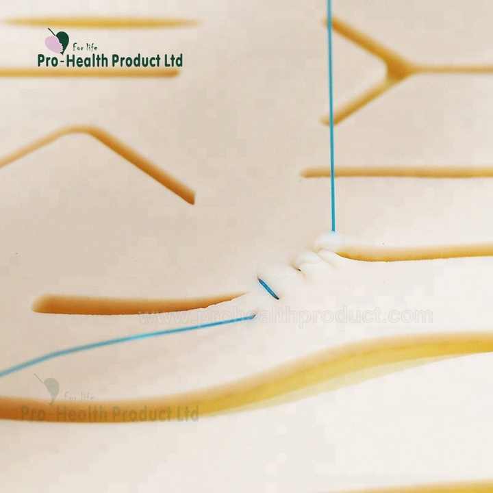 Silicone Surgical Suture Simulator Medical Science Training Skin Model ...