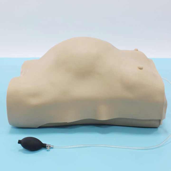BIX-F52 Delivery Simulator - Midwife Training Mannequin