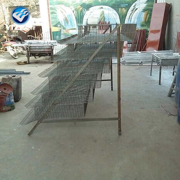 Quail Cage With Automatic Feeding System| Alibaba.com