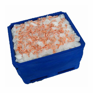 Durable Plastic Fish Storage Tubs - Wholesale Available