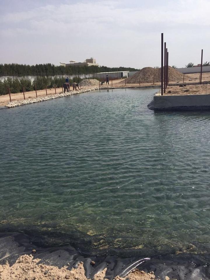 Revestimiento de Estanque Negro de HDPE/Revestimiento de Lago ...