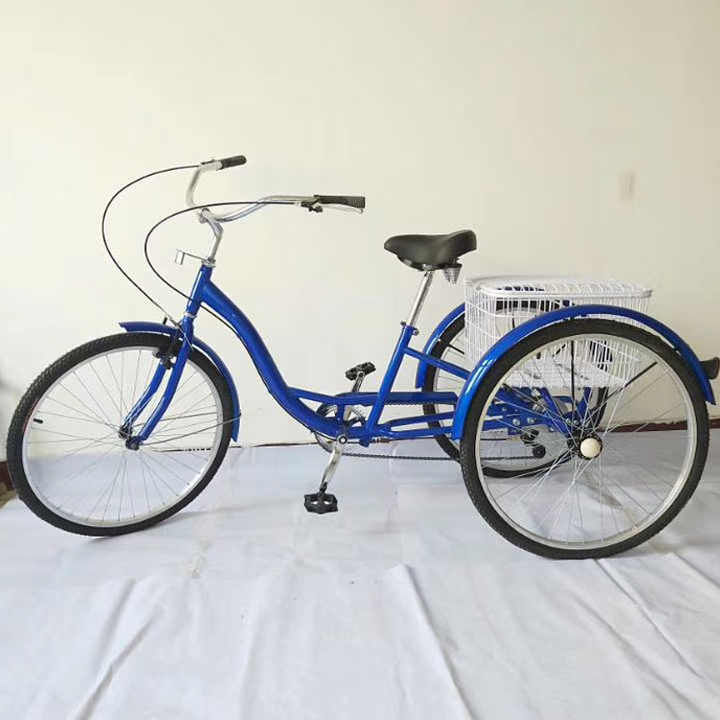Ada Italy Adult Tricycle - 7 Speed Trike for Cargo Transport