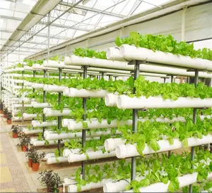Best Selling PVC Pipe Hydroponic System - 100*50mm NFT Channel White