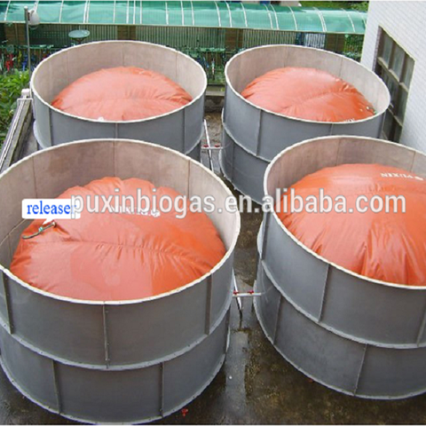 DIY kit assemble mini biogas digester for family use| Alibaba.com