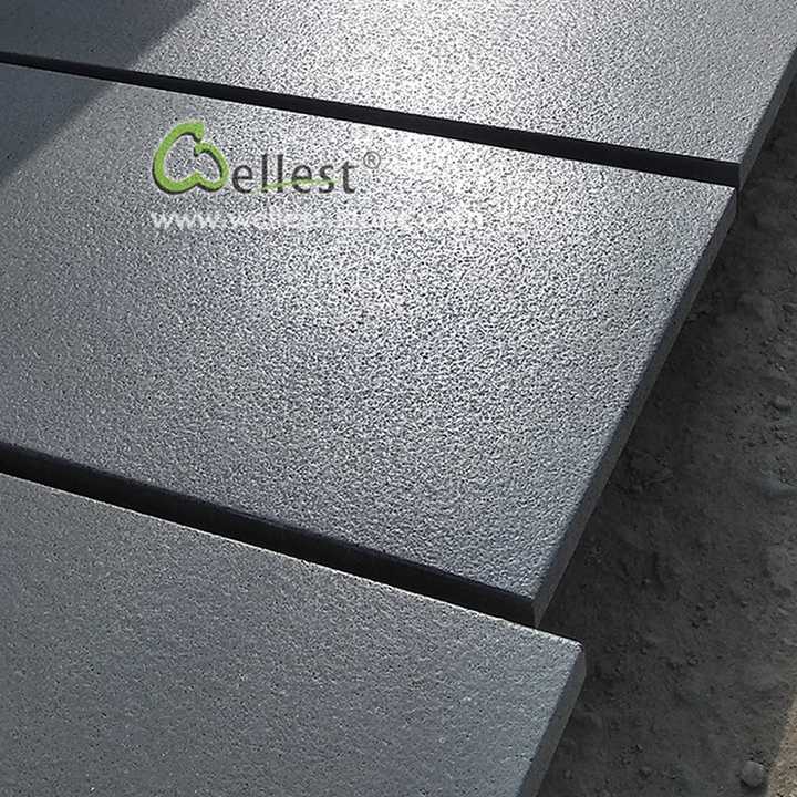 Anti-salted Grey Basalt Wall Cladding Panels & Tiles