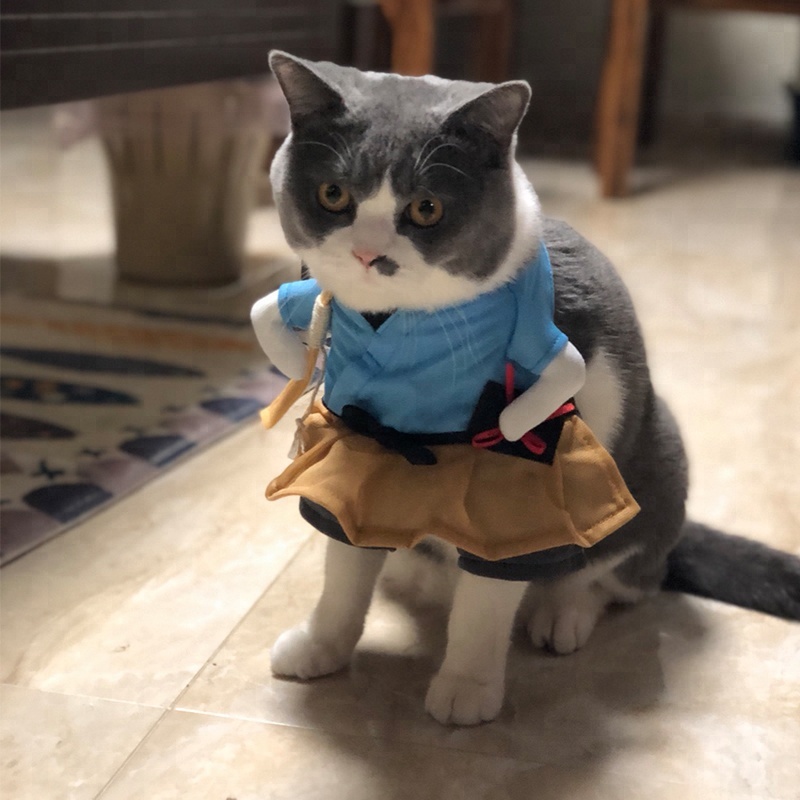 Stylish dog cosplay clothes for Pets: Quality, Comfort, and Durability