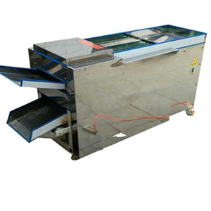 Highly Productive And Robust Dry Chilli Seed Separating Machine ...