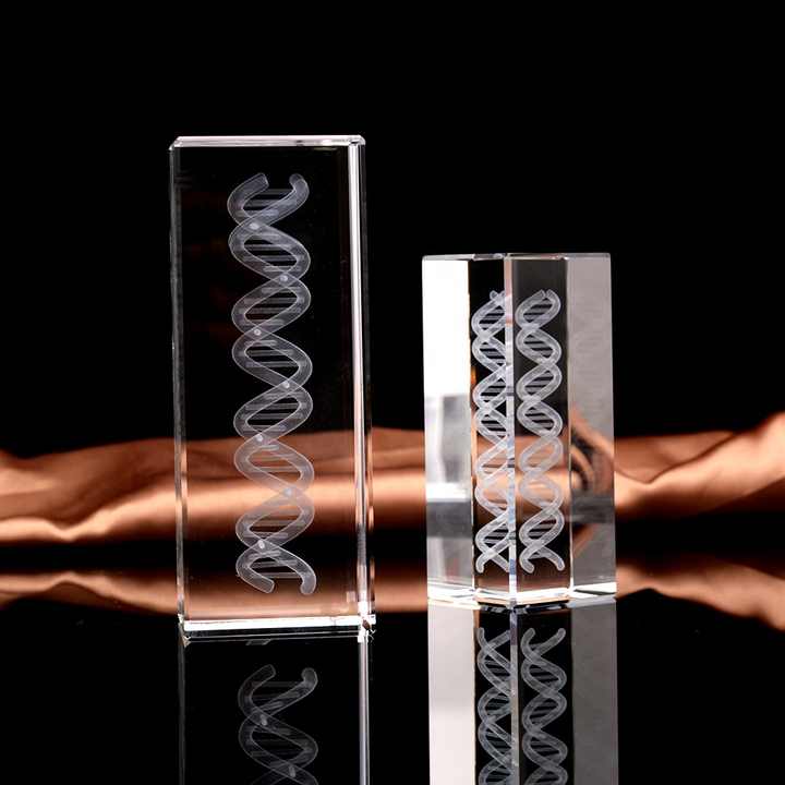 Custom Made Dna 3d Laser Engraving Crystal,3d Laser Crystal Cube ...