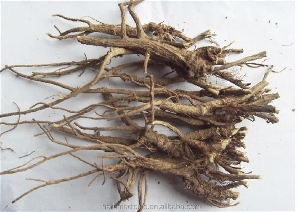 Chai Hu Traditional Herb - Dried Bupleurum Root Cuts