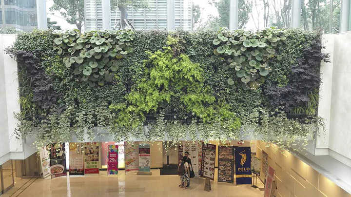 Vertical Garden Systems - Green Wall Modules & Planters