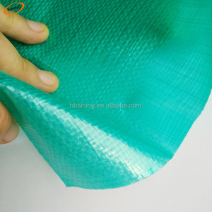 Blue Plastic Sheet in Rolls - Durable and Transparent