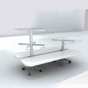 Glass Shoe Rack Display - Elegant & Durable Solutions