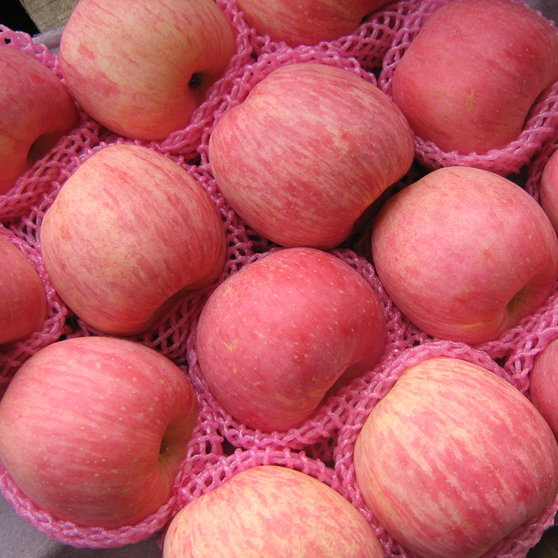 Apple Fruit Price - Wholesale Fresh Apples for Export