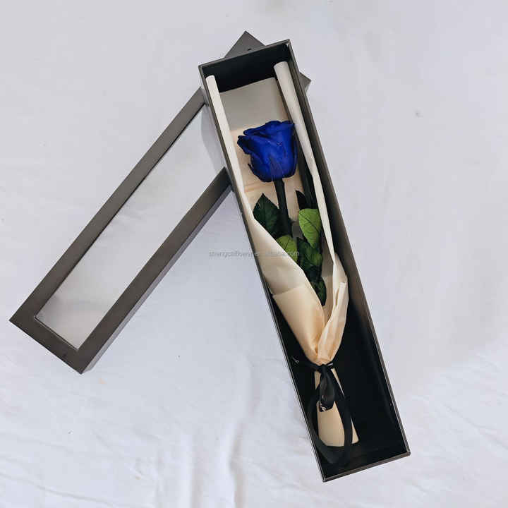 Preserved Red Roses Single Rose Natural Preserved Flowers Real ...