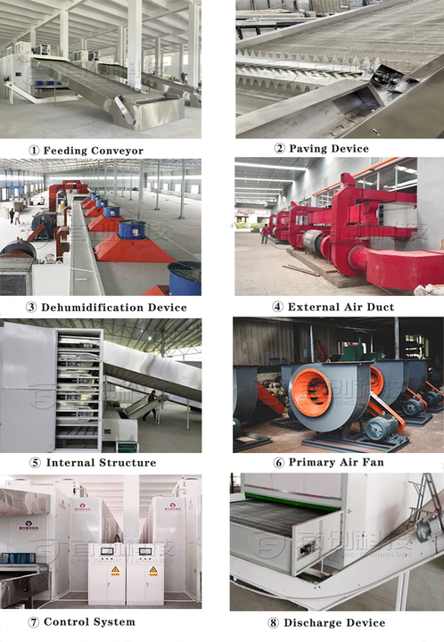 20 Tons Dried Kaffir Lime Leaves Mesh Belt Dryer Lemon Leaf Mint ...