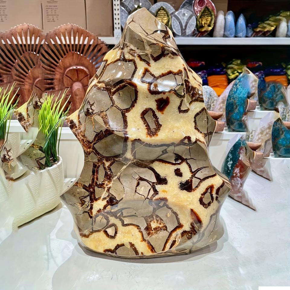 Wholesale Mixed Shapes Turtle Back Stone Decor Perfect for Home Décor ...