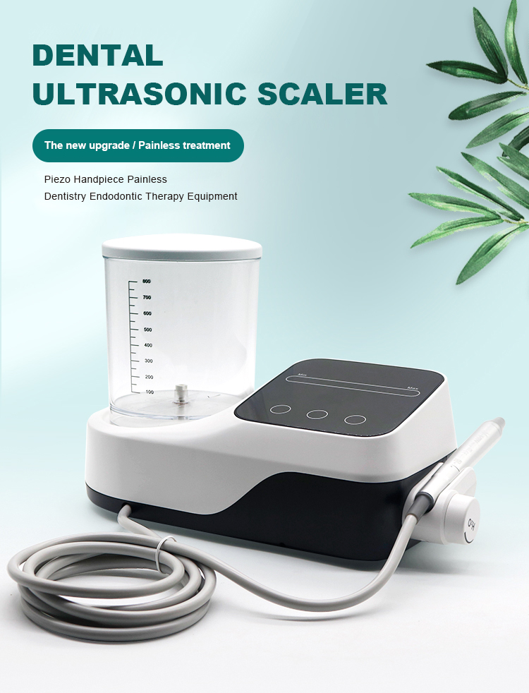 Dental Ultrasonic Scaler Supplier_For Sale_Price - Glorious Dental ...