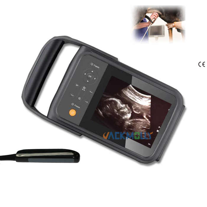 JM-808F Cattle Ultrasound Scanner Veterinary Sheep Handheld Horse 5.6 ...