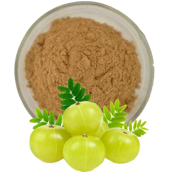 Amla Powder Organic Indian Gooseberry Amla Extract Amla Hair Powder ...