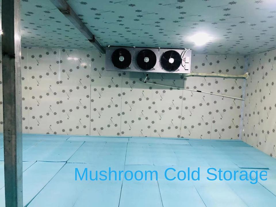 Small Commercial Container Cold Room Storage Equipment with Soundproof ...