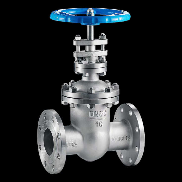 316 Stainless Steel API 600 Class 300 Manual Power Gate Valve Corrosion ...