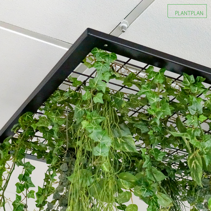 How to Choose the Best Vines Decoration for Your Space