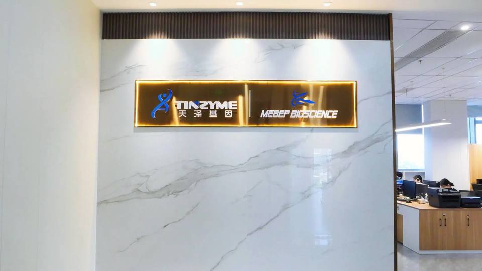 Tinzyme FlashCut TM BglI,restriction Endonuclease,can Complete Enzyme Cleavage Within 5-15 ...