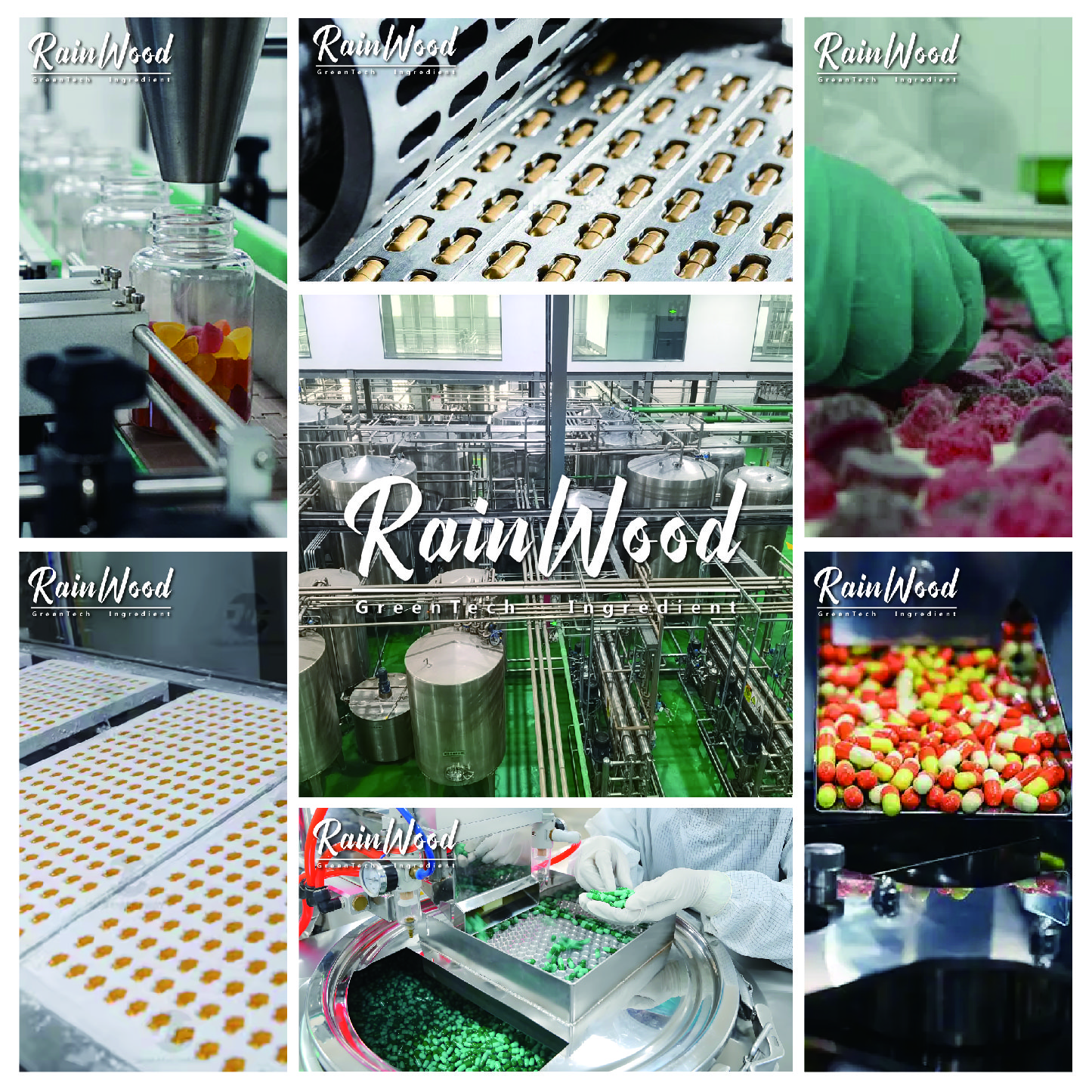 Kitosan Berat Molekul Tinggi - Kualitas & Harga Premium