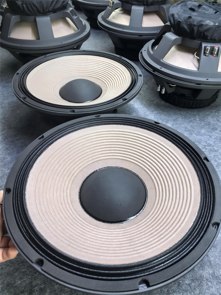 Professional Passive Audio System 12-Inch Woofer Speaker 1200W RMS 8ohm ...