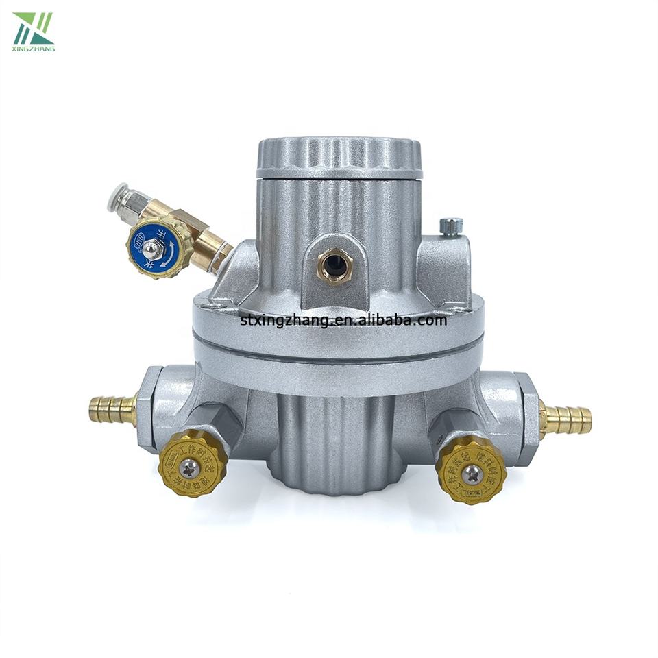 BML-5 Pneumatic Diaphragm Ink Pump for Flexo Printing Machines - 10L ...