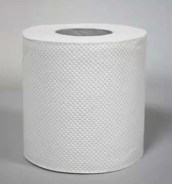 Wholesale Customizable 3-Ply Bamboo Toilet Tissue Paper