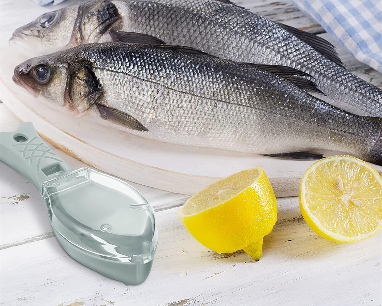 Fish Scale Brush with Lid Descaler Fish Descaler Descaler Scraper ...