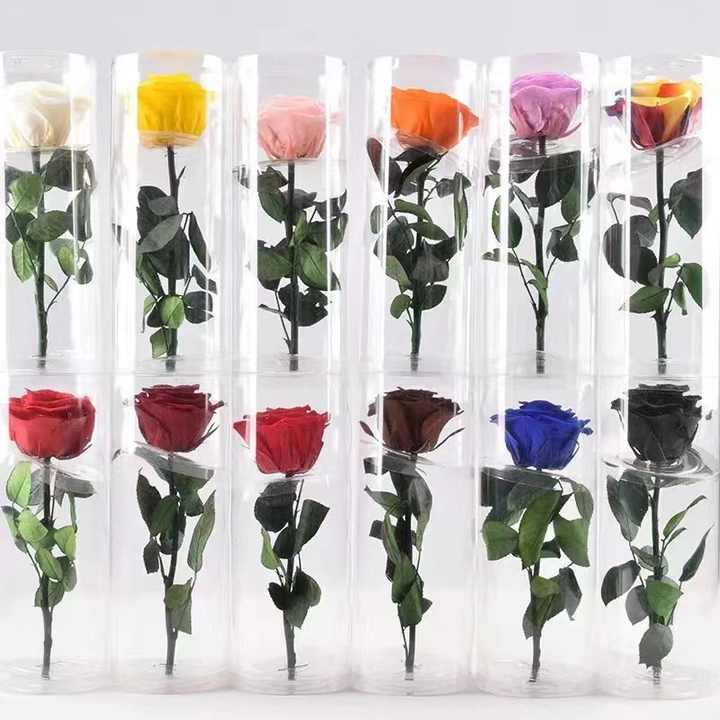 Valentines Day Single Stem Preserved Rose Girlfriend Gift Mother ...