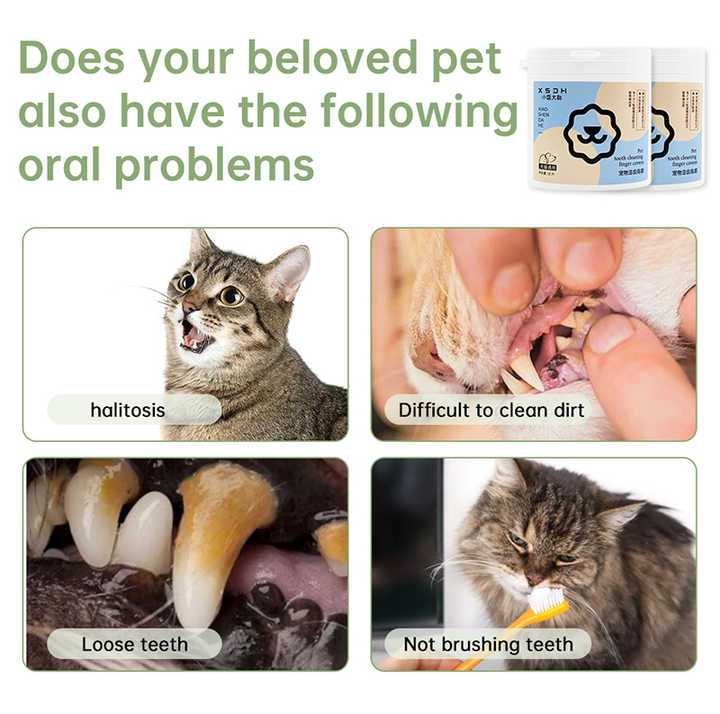 Eco-friendly Disposable Finger Cots Toothbrush Dogs and Cats Oral ...