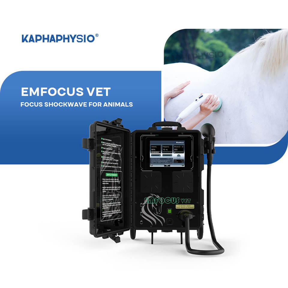 KAPHAPHYSIO EMFOCUS VET Portable Veterinary Shockwave Device FSWT ...