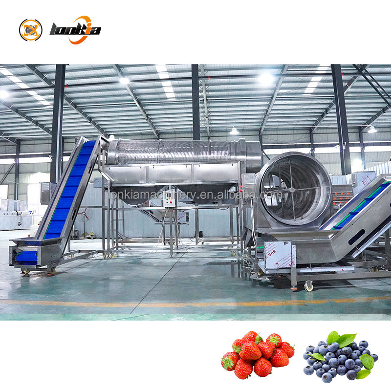 Berry Fruit Processing Line Automatic Destemming Machine Bubble Cleaner ...