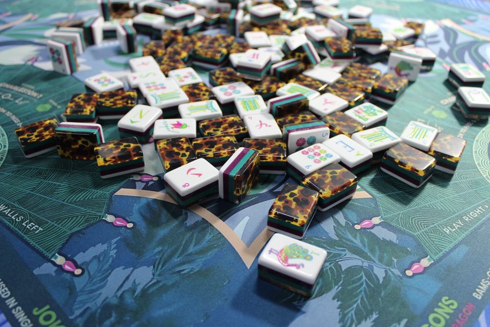 Custom 4-Layer American Mahjong Tiles 160 Plastic Tiles with Leopard ...