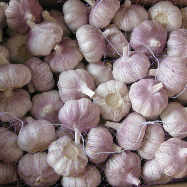 Chinese Fresh Garlic 2025 New Crop Normal White Garlic Shandong Origin ...