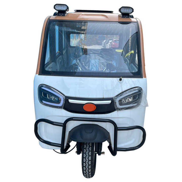 Fully Enclosed 3 Wheel Electric Vehicle with Solar Power