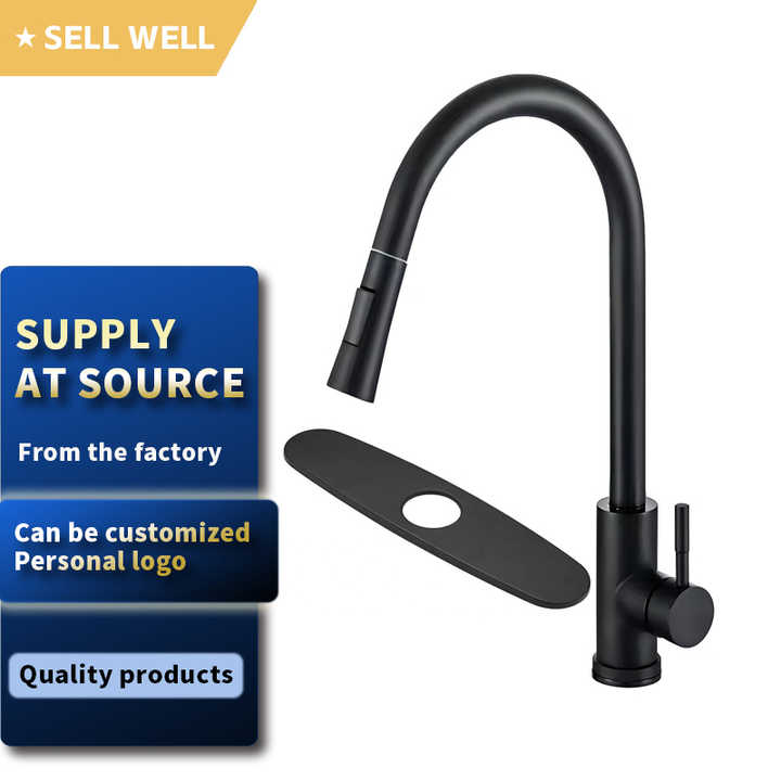 Modern Stainless Steel Kitchen Faucet Mixer Tap Extension Pull-Out Down ...