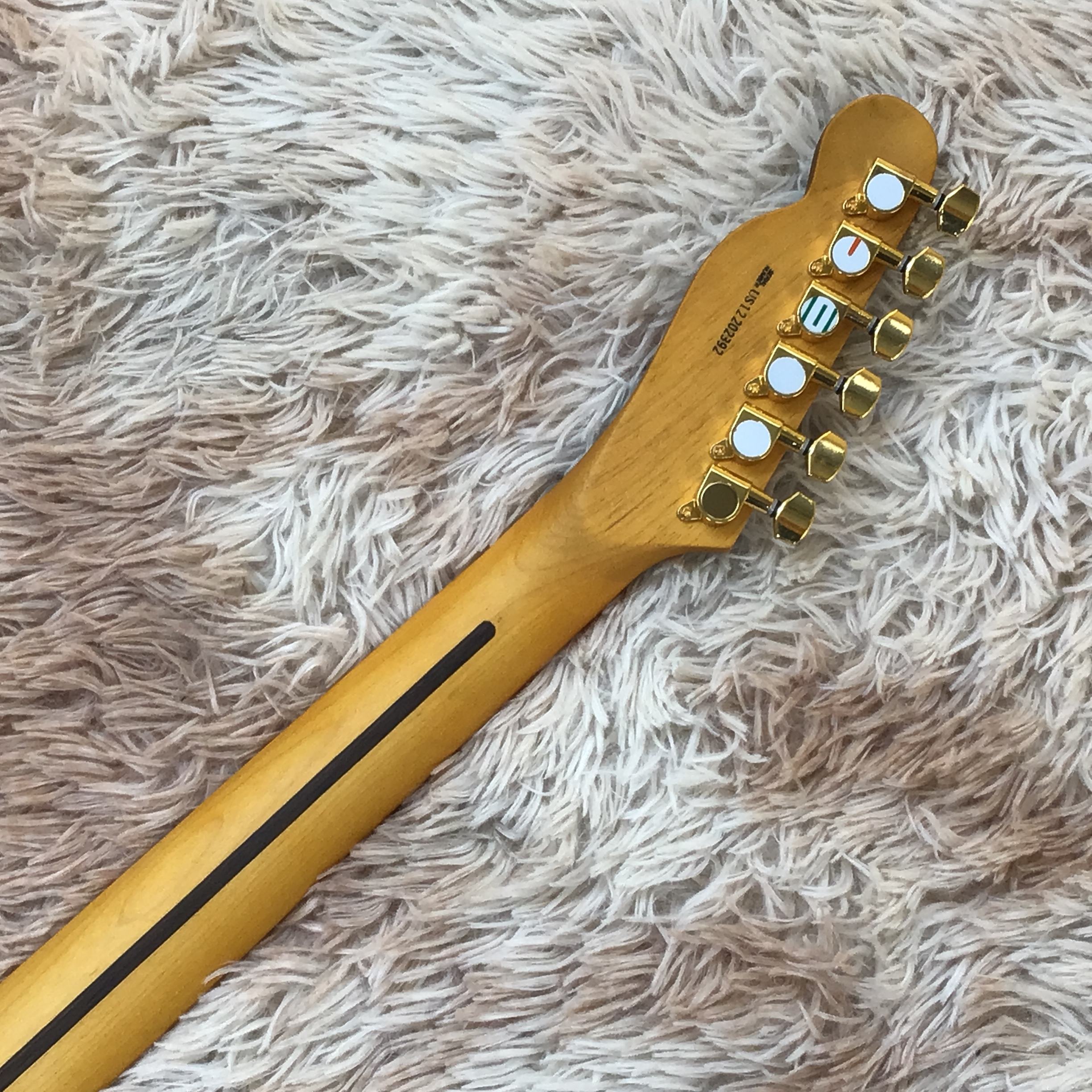 How to Choose the Best Schecter Guitar for Your Playing Style