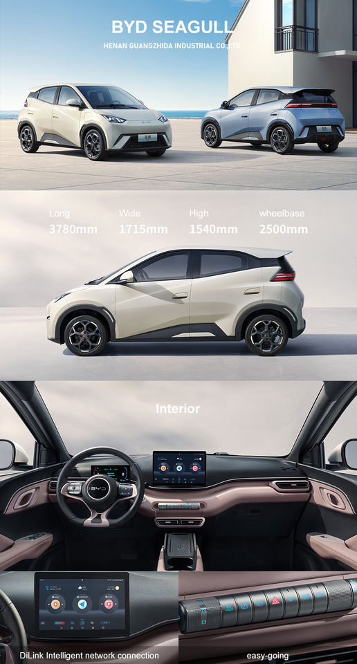 BYD Seagull 2025 International Version - Pure Electric Car