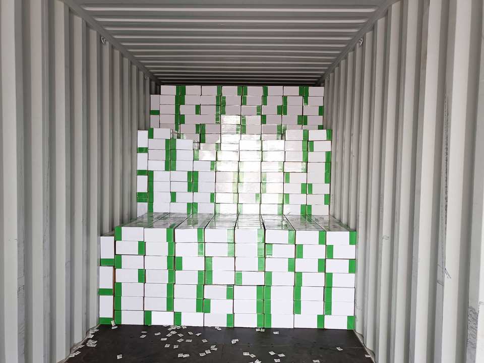 Construction Brick Wall Reinforcement Galvanized Welded Brick Force ...