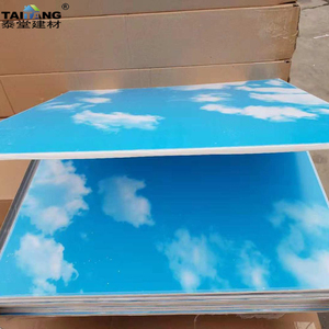 Wholesale blue sky ceiling tile For Domestic Or Commercial Use ...
