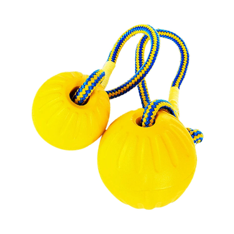 Durable 8CM Natural Training Pet Ball with Round Rope Eco-Friendly EVA ...