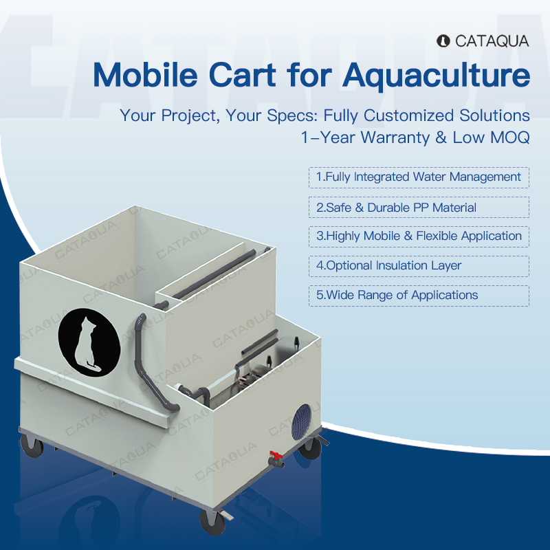 Wholesale Fish Transport Container Plastic Tank, 1000L Capacity ...