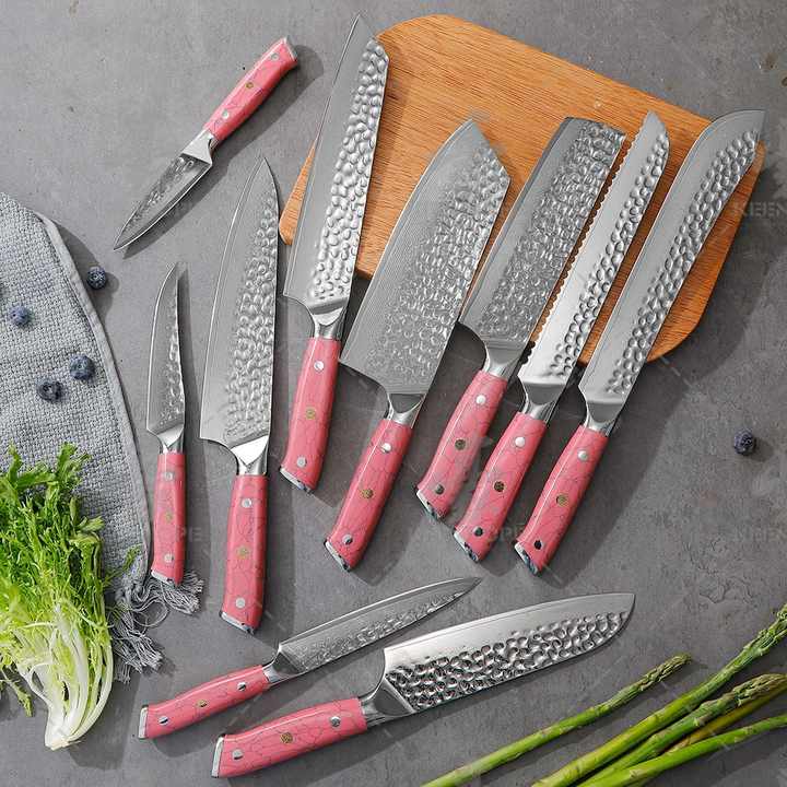 KEENHOPE 10Pcs Kitchen Knife Set Stunning 67-Layers Damascus Steel AUS ...