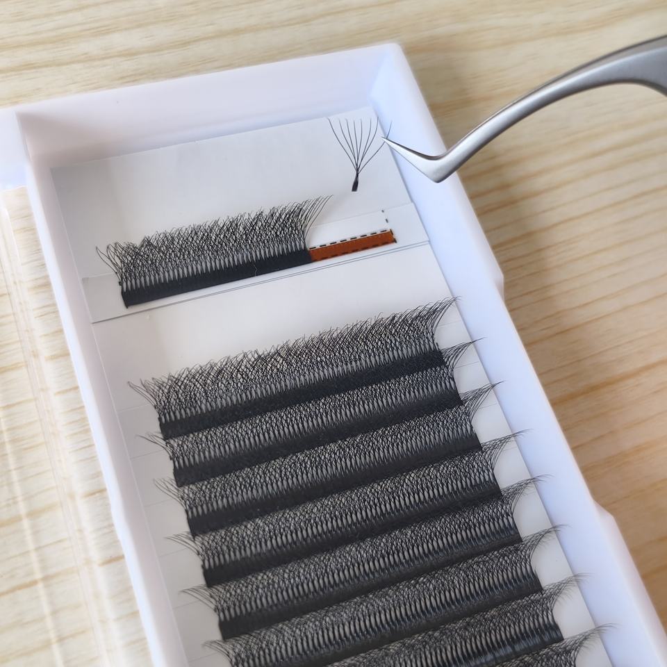 Eyelash Extensions 2026 Hot Selling W-Shape 8D Premade Volume Fan ...