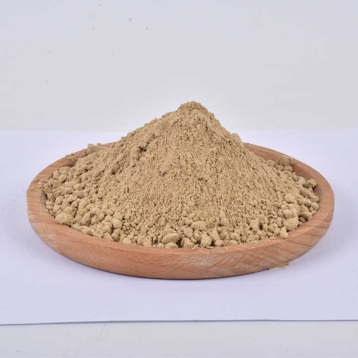 Insect Protein Powder - Cricket Flour for Sports Nutrition