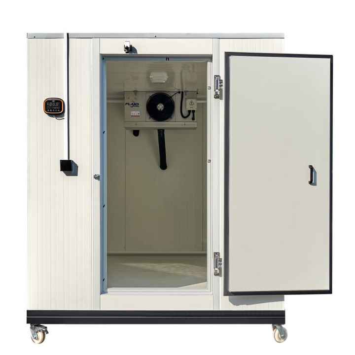 Small Air Cooling Blast Freezer for Quick Freezing Fast Freezing Small ...
